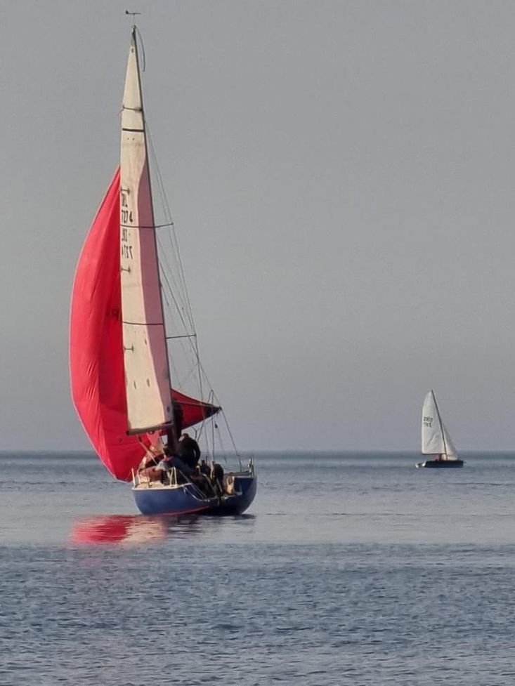 Conrad 760 for sale UK, Conrad boats for sale, Conrad used boat sales ...